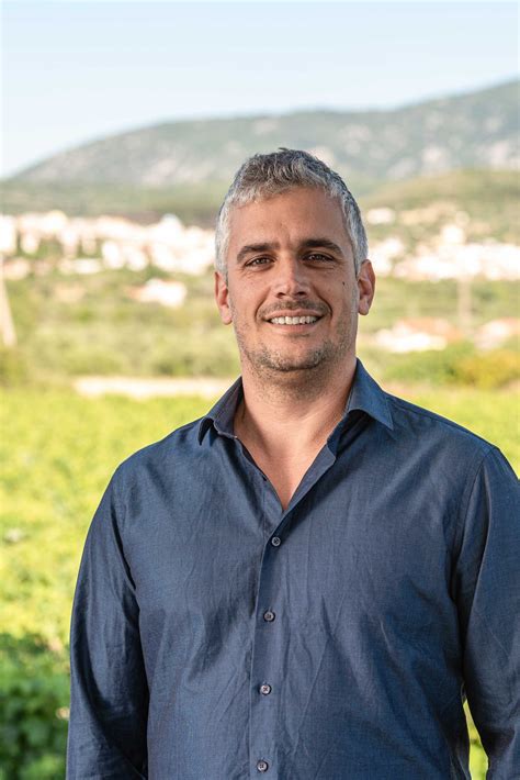 Award Winning Organic Wines From Hatziioannou Estate