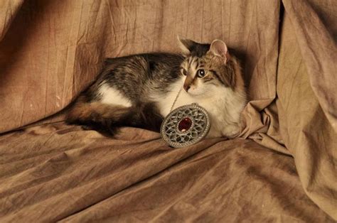 The Scp Foundation Secure Contain Protect сообщество фанатов картинки гифки