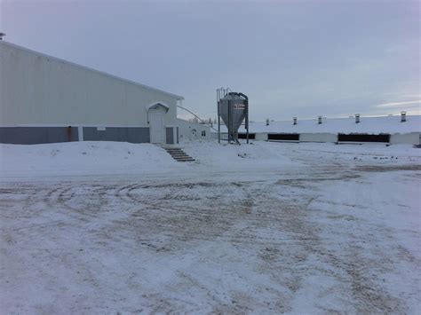 АГРОЭКО открыла новый свинокомплекс на 43 тыс голов в Воронежской области в блоге «Новые и