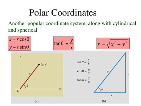 Ppt Physics 114 Prof Salsbury Course Info And Policies Powerpoint Presentation Id9158044