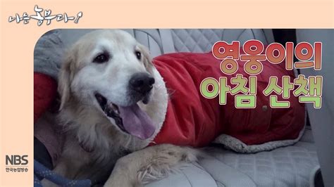 나는농부다 282회 다육 식물 농장 댕댕이 영웅이의 아침 산책 Youtube