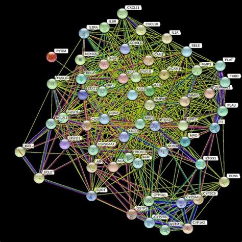 Visualization Of Gancao Xiexin Decoction Bd Common Target Protein Ppi