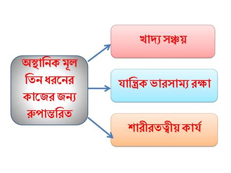 Ppt Powerpoint Presentation Free Download Id