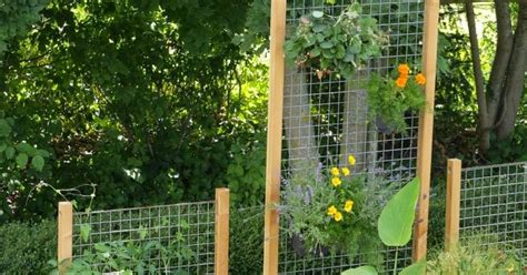 Like The Look Of These Over Typical Trellis For Vertical Growing Dreaming Gardens Pub