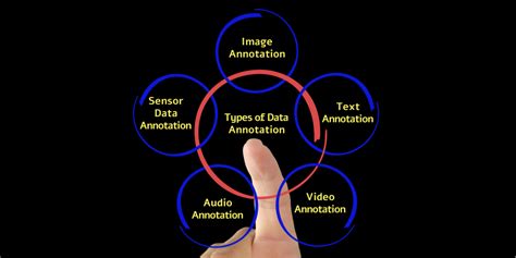 What Is Data Annotation Definition Types Tools Future Trends