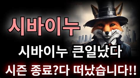 하 시바이누 왜 하필 지금 정말 미치겠습니다 Youtube