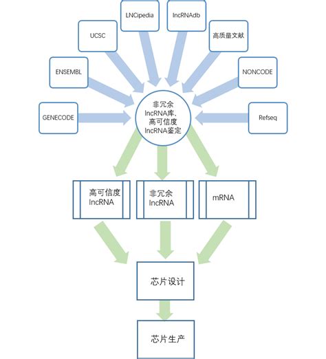 Sbc Cerna芯片 生物器材网