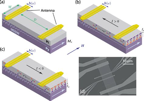 Principle Of The Spin Wave Amplification Through The Spin Hall Effect Download Scientific