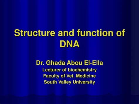 PPT Structure And Function Of DNA PowerPoint Presentation Free Download ID 4294355