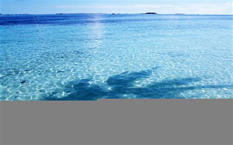 배경 화면 그림자 야자수 하늘빛 만 물 투명한 바닥 1920x1200 Wallup 651232 배경 화면 Wallhere