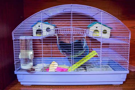 Chinese Dwarf Hamster Cage