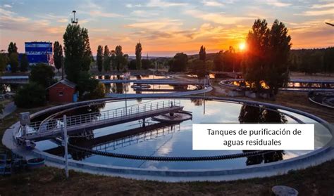 Depuración De Agua Qué Es Fases Y Métodos Naturales