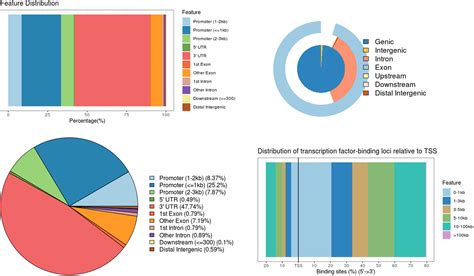 使用r包chipseeker实现对chip Seq Peaks的注释 Bed