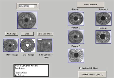simulated iris image for feature extraction process download