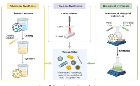 Figure 5 From Green Synthesis Of Selenium Nanoparticle From Medicinal
