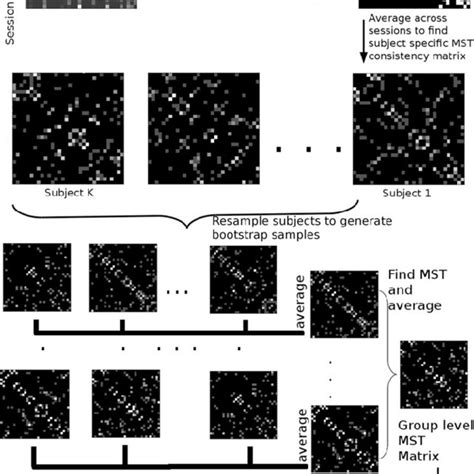 Subject Specific Mst Consistency Matrices Are Determined From Mst Of