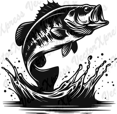 Bass Fish Silhouette Cut Files Vector Graphic Multiple Formats High