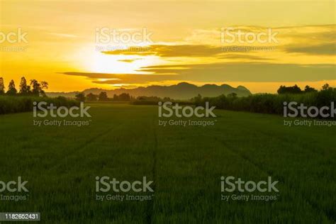 아침에 태국 시골의 산 전망 풍경 녹색 자연이 가득합니다 나무와 쌀 플롯의 태양은 언덕을 통해 빛난다 구름 하늘과 안개 물 반사 0명에 대한 스톡 사진 및 기타 이미지