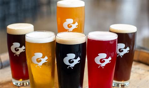 Mighty Squirrel X Halloween Mighty Squirrel X Halloween