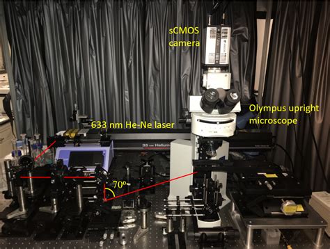 Laboratory Prof To Ngais Research Group Cuhk