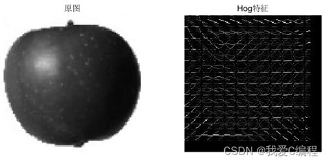 目标图像的hog特征提取matlab仿真 Csdn博客 目标图像的hog特征提取matlab仿真 Csdn博客