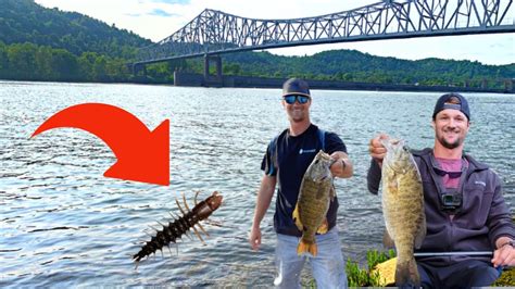 This Realistic Lure Catches Big Smallmouth Bass Youtube