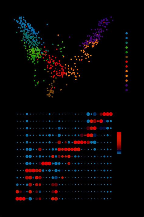 Cell Type Identification Trajectory Inference And Pseudotime Download Scientific Diagram