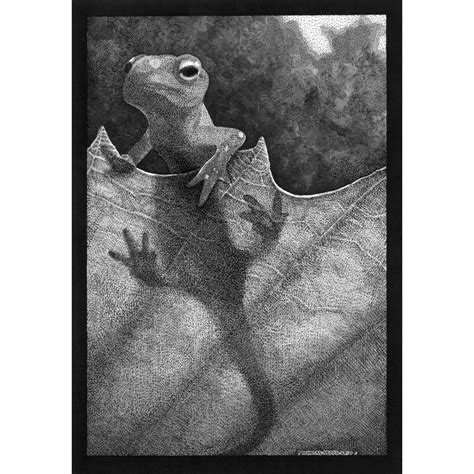 Nick Neddo Earthartsnick Neddo Artist