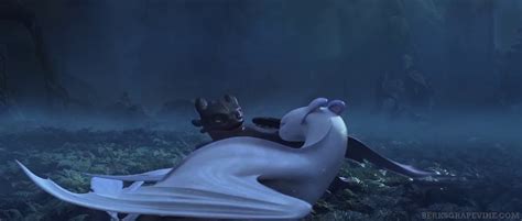 Detail Pictures Of Toothless And The Light Fury Koleksi Nomer