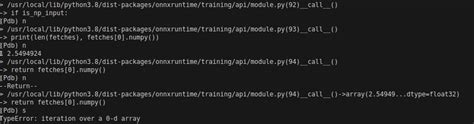Training Define A Custom Training With Some Onnx Models · Issue