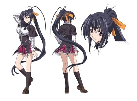 Akeno Himejima High School Dxd Waifu Ecchiverse The Otaku Box