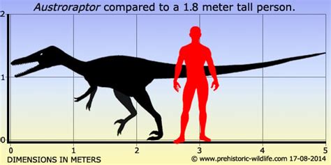 Austroraptor