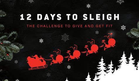 Enter To Win The Assault Rower Pro Home Gym Set Up With A Runner Mat