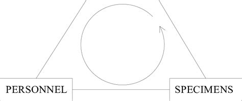 Circular Interaction Download Scientific Diagram