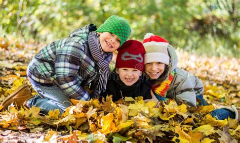 Irm Mais Idosa E Dois Irm Os Mais Novos Nas Folhas De Outono Felizes Foto De Stock Imagem De