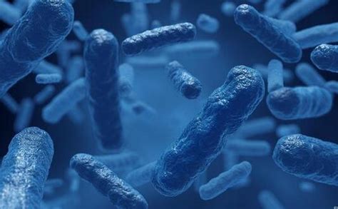 新闻资讯 丹麦biosense微生物生长动态监测系统 价格 厂商 原理 应用