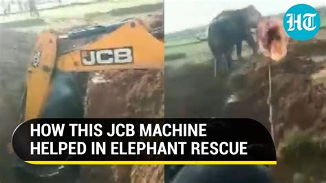 Viral Netizens Hail ‘saviours As Jcb Machine Helps Rescue Elephant