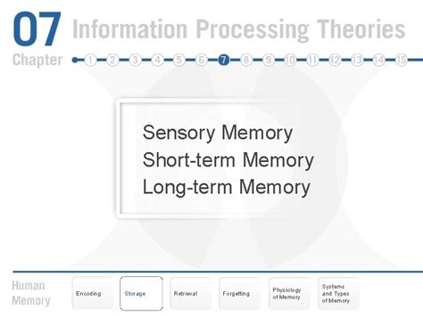 Encoding Storage Retrieval Forgetting Physiology Of Memory Systems