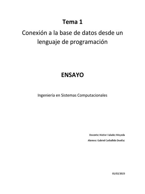 Ensayo Tema 1 Orm Pdf Active X Data Objects Aplicación Web