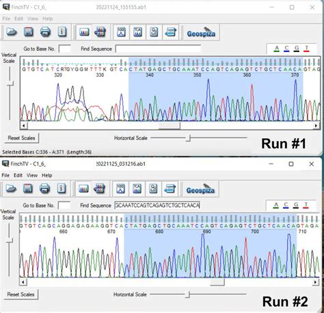 Sanger Sequencing Problems Chromatogram Quality Inconsistency