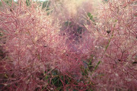 Napovednik Za Mesec Junij Nadškofija Ljubljana