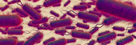 Glycomimetics Show Promise Against P Aeruginosa Catheter Associated Biofilm Formation