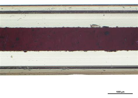 How To Make Wax Sealed Microscope Slide Preparations