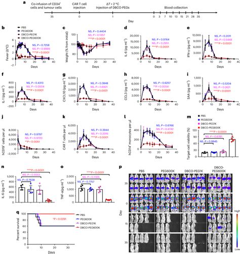In Situ Pegylation Of Car T Cells Alleviates Cytokine Release