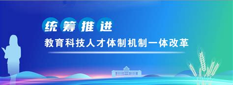 虚拟仿真实验平台