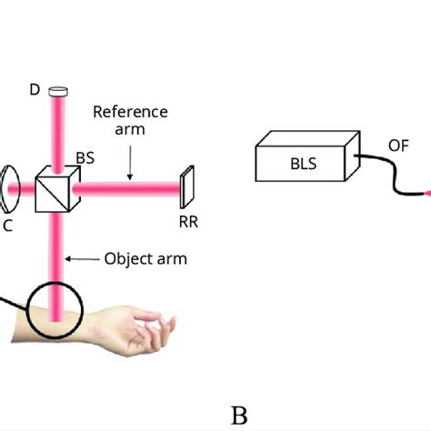A Schematic Of An Optical Imaging System Based On Lci B Schematic Download Scientific