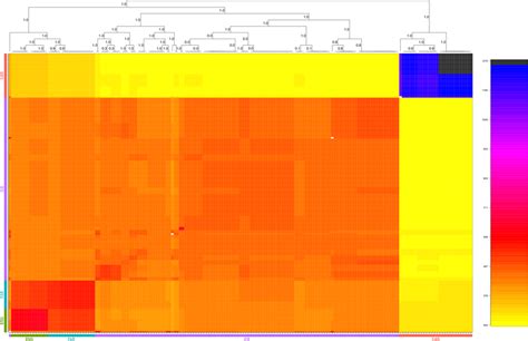 Haplotype Coancestry Matrix Inferred For North Atlantic Buccinum