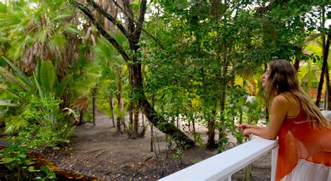 Experience The Ultimate Belize Jungle And Beach Vacation