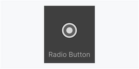 Checkboxes Radio Buttons And Select Inputs Webflow University
