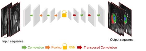Deep Learning For Cardiac Image Segmentation A Review Deepai